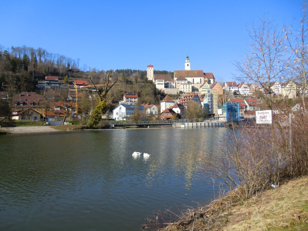 Horb am Neckar mit Schwanenpaar - Staedte-fotos.de