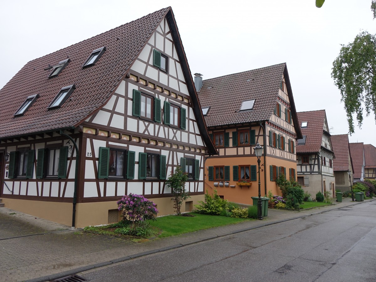 Am Anger von Neulingen (30.05.2015) - Staedte-fotos.de